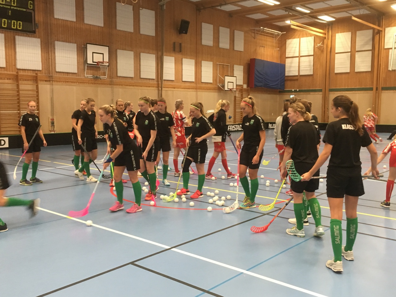 Fristad GoIF - Innebandy Dam